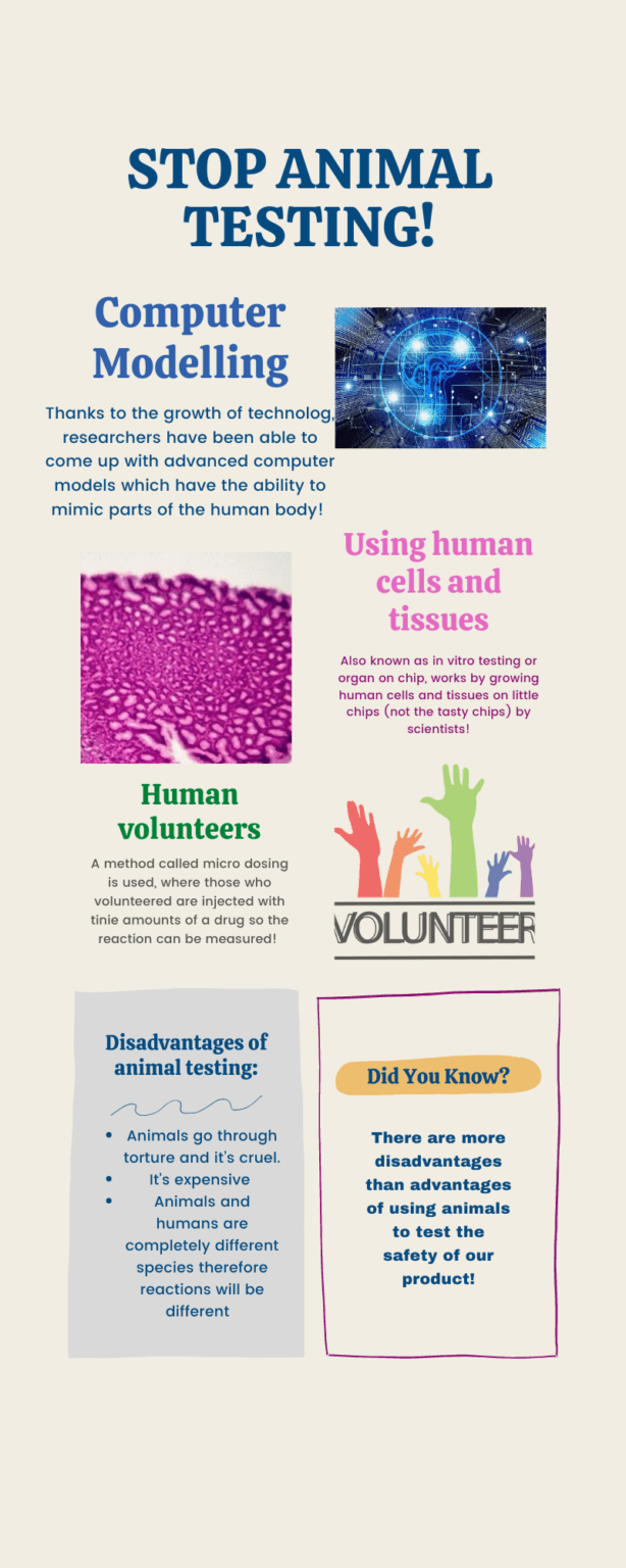 Alternatives to animal testing in cosmetics | Makeup Me